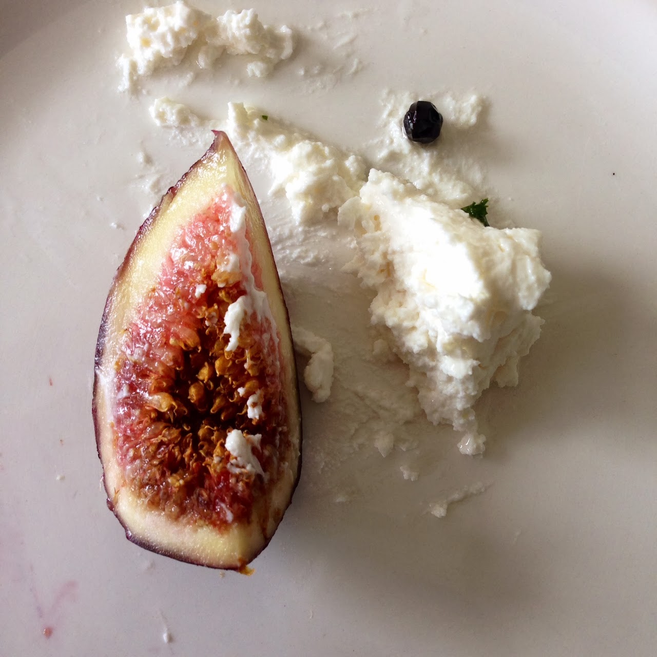 prophet of bloom: heavenly [blessed are the cheesemakers]