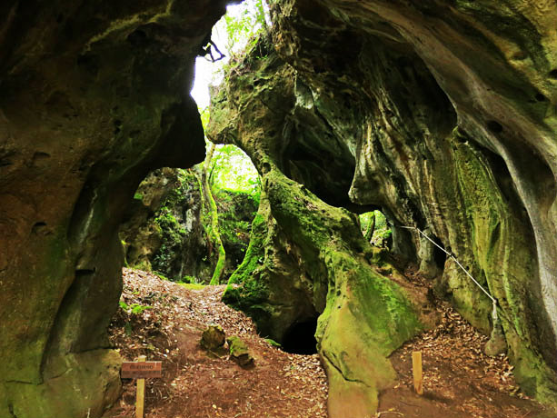 As Covas da Andía y el bosque encantado