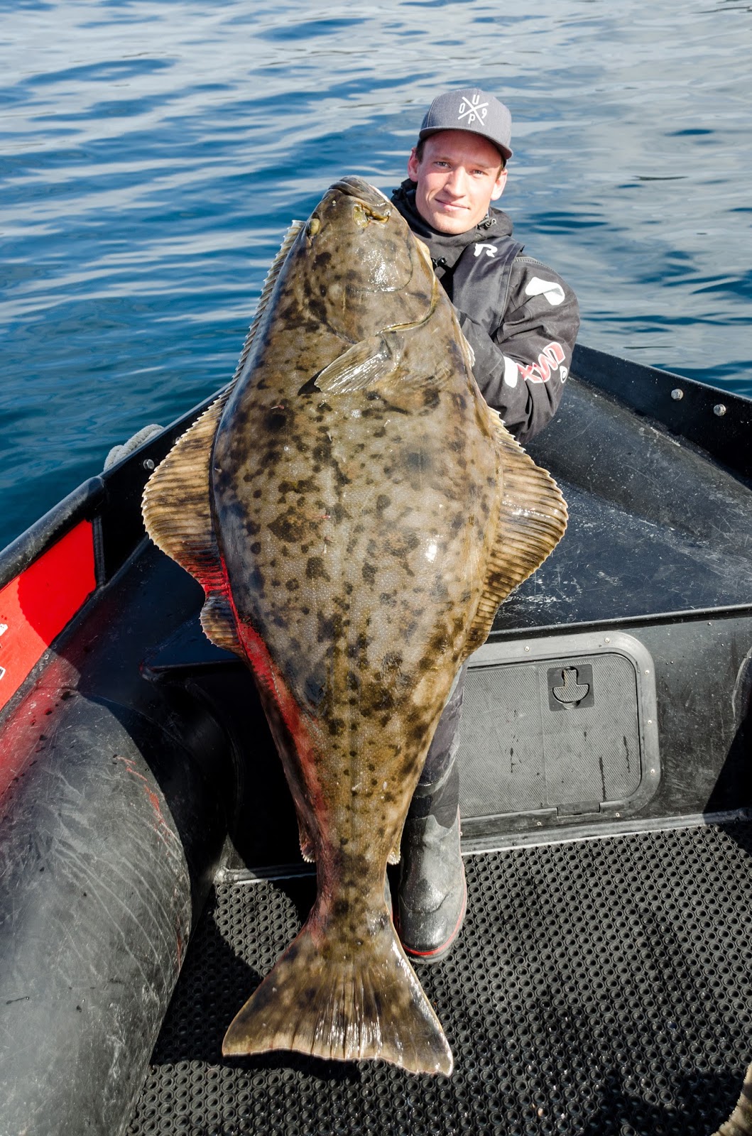 Allt vad fiske heter: Hälleflundra på Söröya!