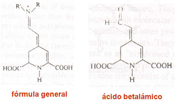 Química de Alimentos: Betalainas
