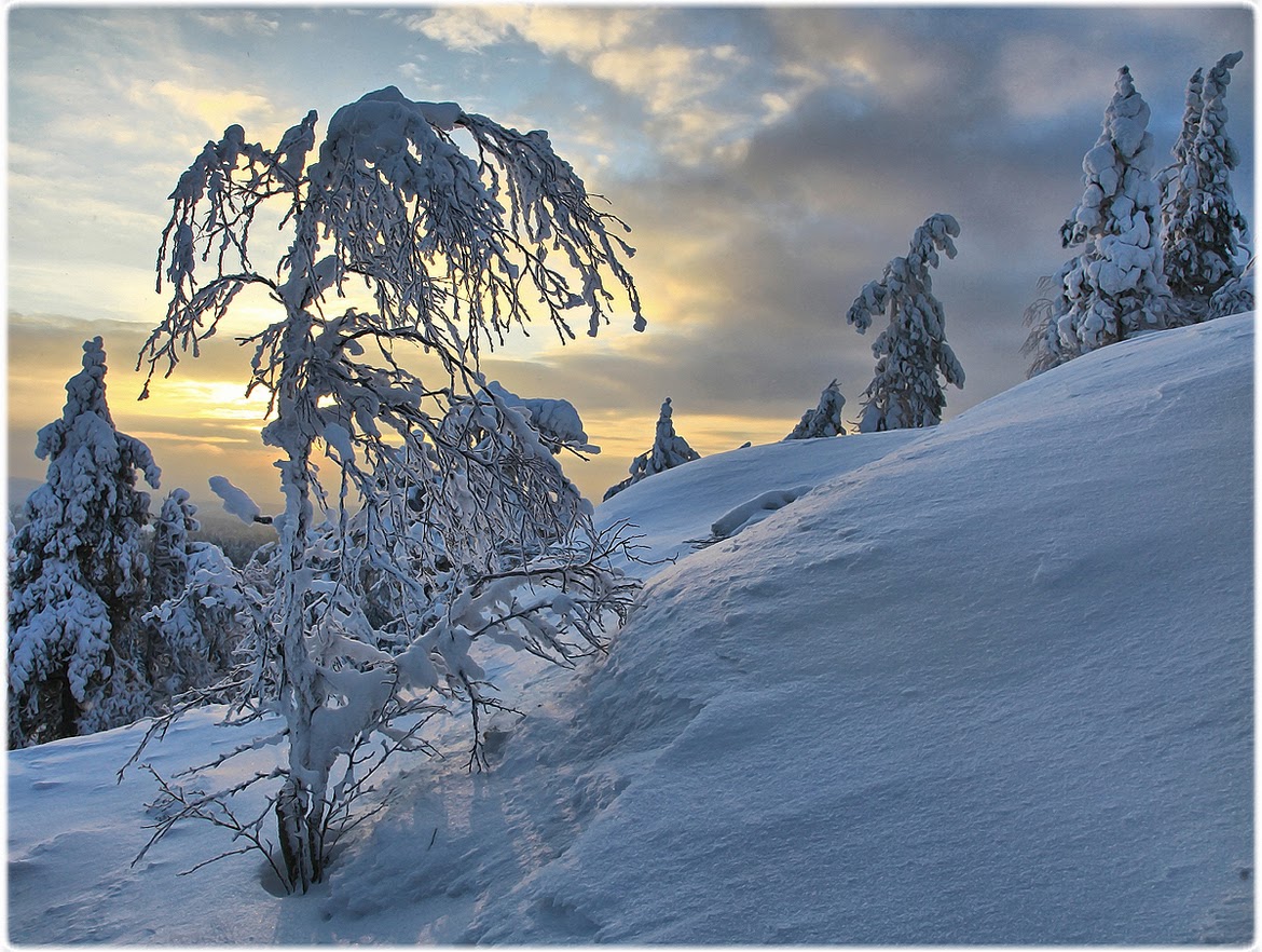 Valtteri Mulkahainen - igra svetlucavih perli ~ F I N S K A
