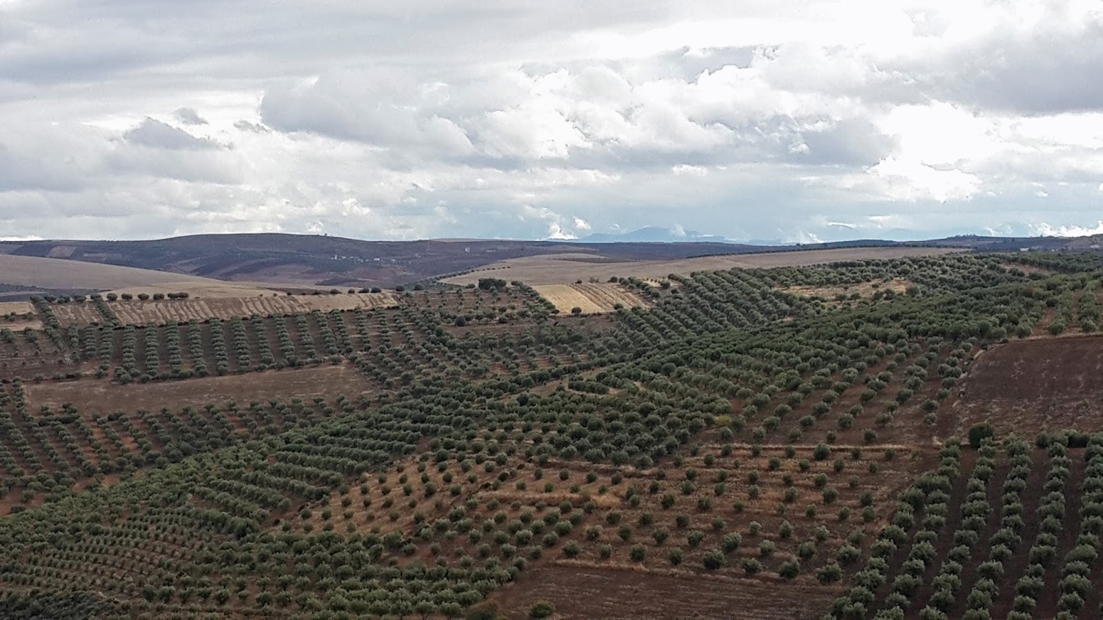RIAD SOUAFINE.COM FES MAROC: SEFROU: une journée à la campagne