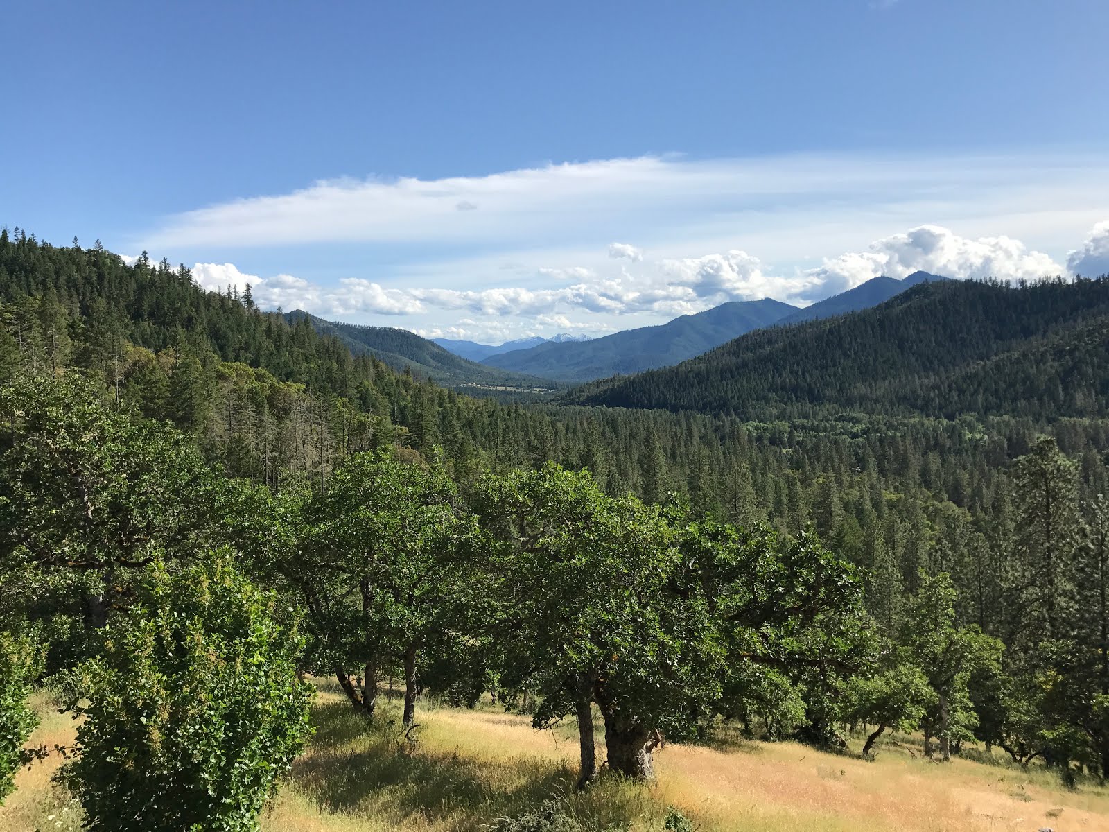 The Siskiyou Crest : Lights, Cameras, and Don't Forget to Take Action ...