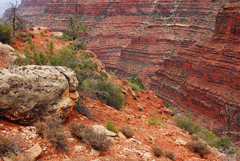 History of the Earth: August 4. Supai Group and Hermit Shale