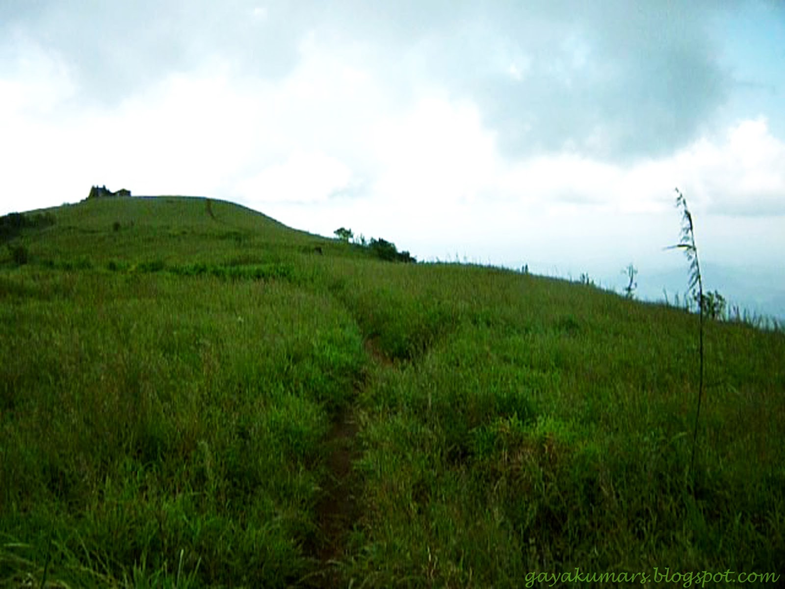 A Trip To PaithalMala: PaithalMala / Vaithalmala