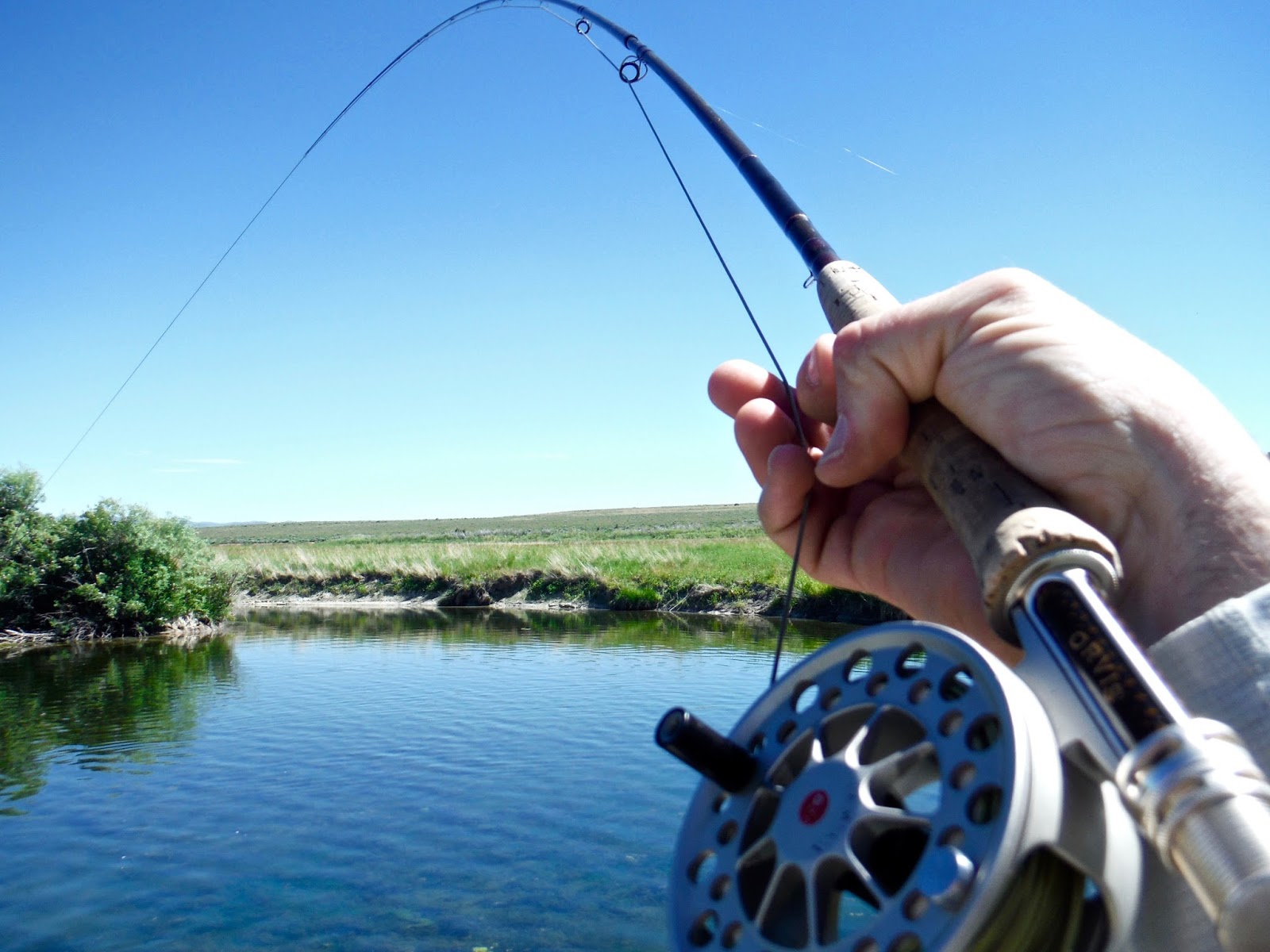 Erik’s Fly Fishing Blog: Ruby Marsh