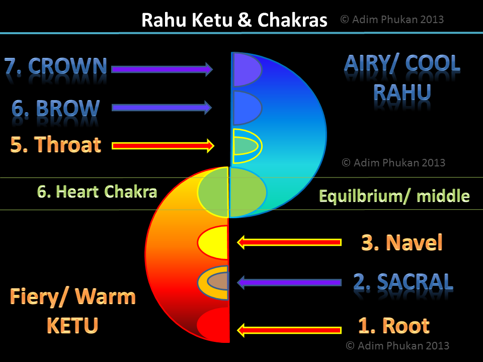 Ketu Currents: Rahu Ketu Chakras