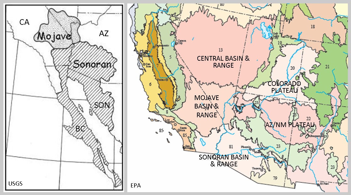 a wilderness journal