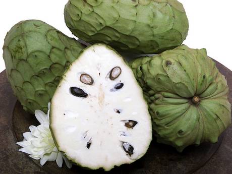 SEGEBUTĖS UŽRAŠAI: Anona