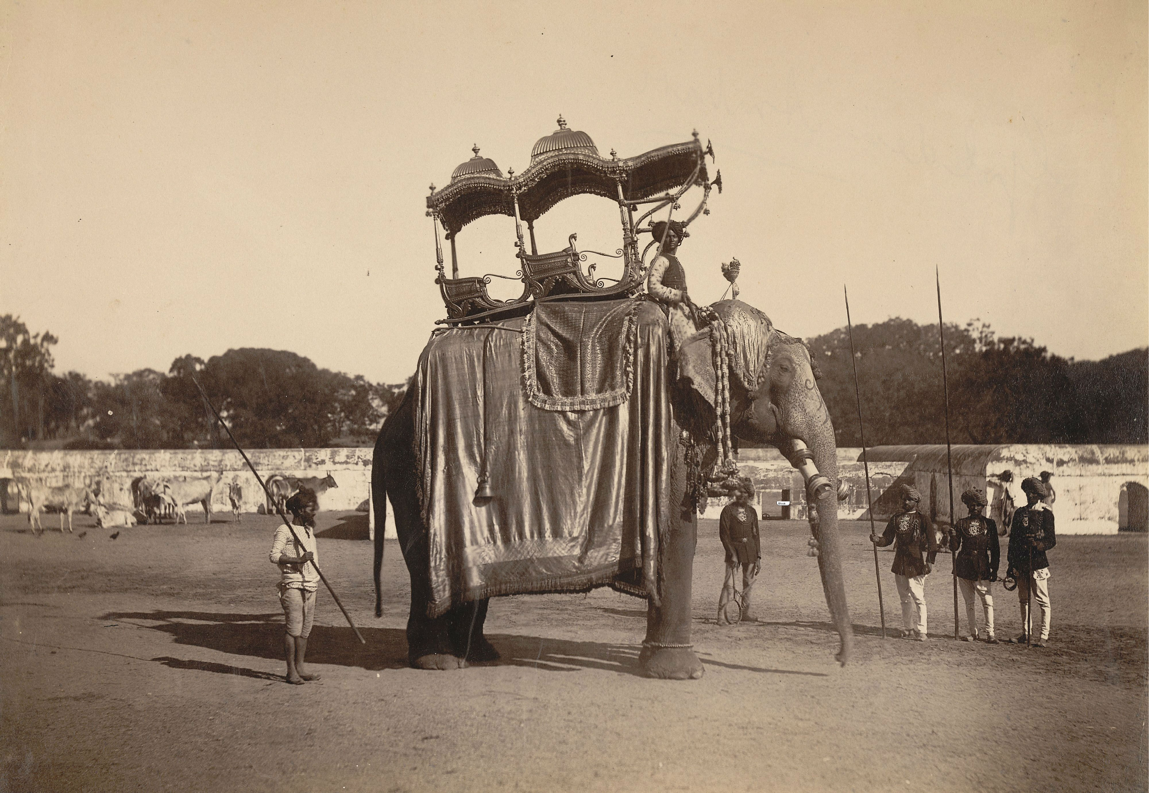 Elephant with golden howdah, Baroda - 1890 - Old Indian Photos