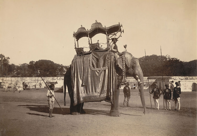Elephant with golden howdah, Baroda - 1890 - Old Indian Photos