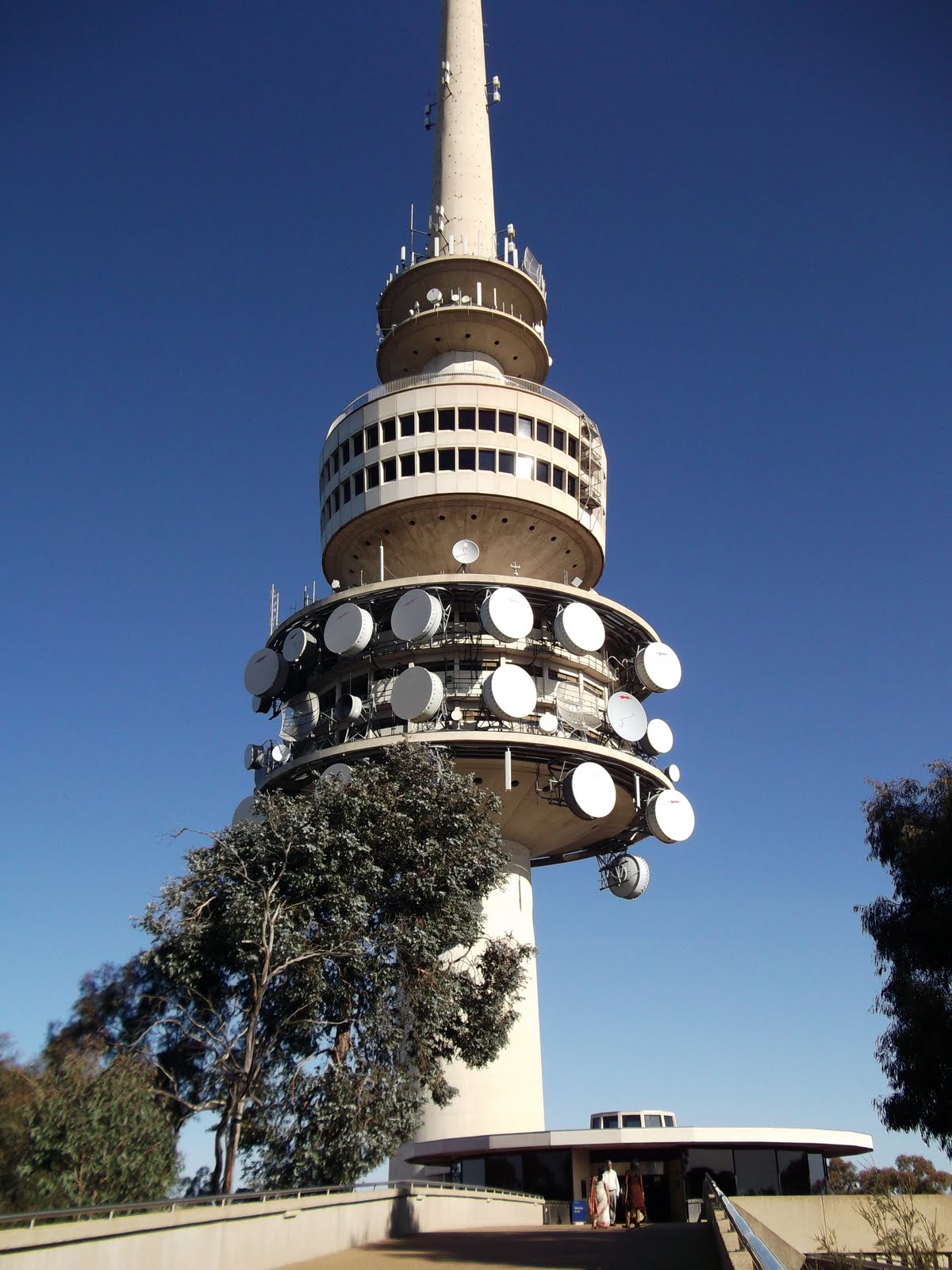 Diary of a Wombat: Mount Ainslie and the Telstra Tower