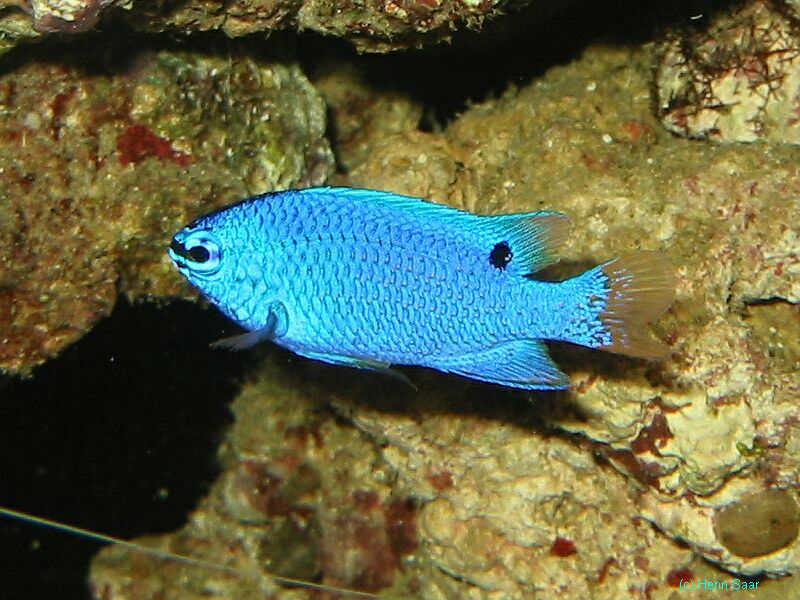 Mighty Water Week: Day #3 - Science in the City