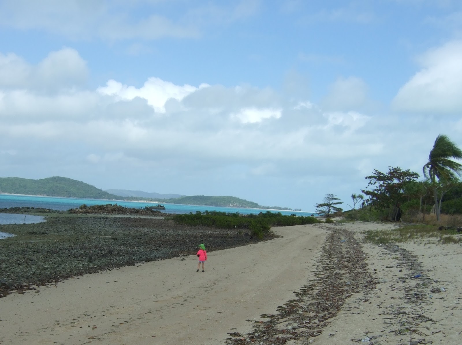 Teaching Torres Strait: Morning Tea on Goods Island