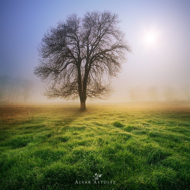 Conteng2Kreatif: Fotografi Alam Yang Menarik dari Alvar Astulez( 42 ...