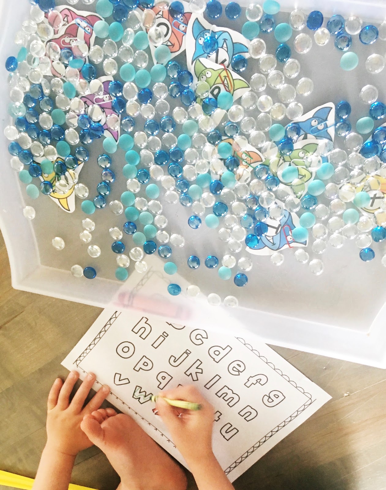 Ocean Preschool Theme