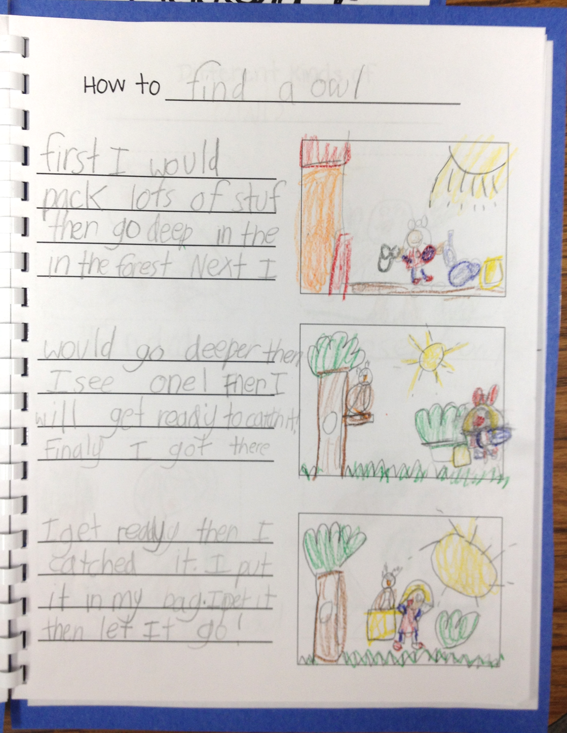 Creating An All About Book: A Beginning Research Project - Susan Jones ...