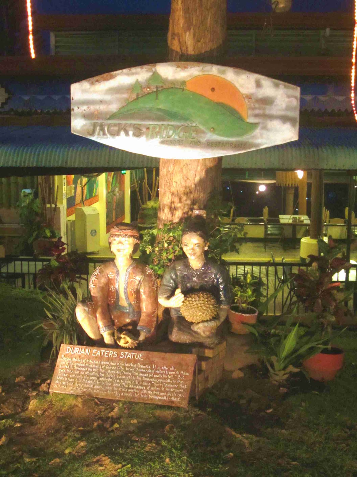 Davaoena In Manila: Jack's Ridge - Overlooking Davao City