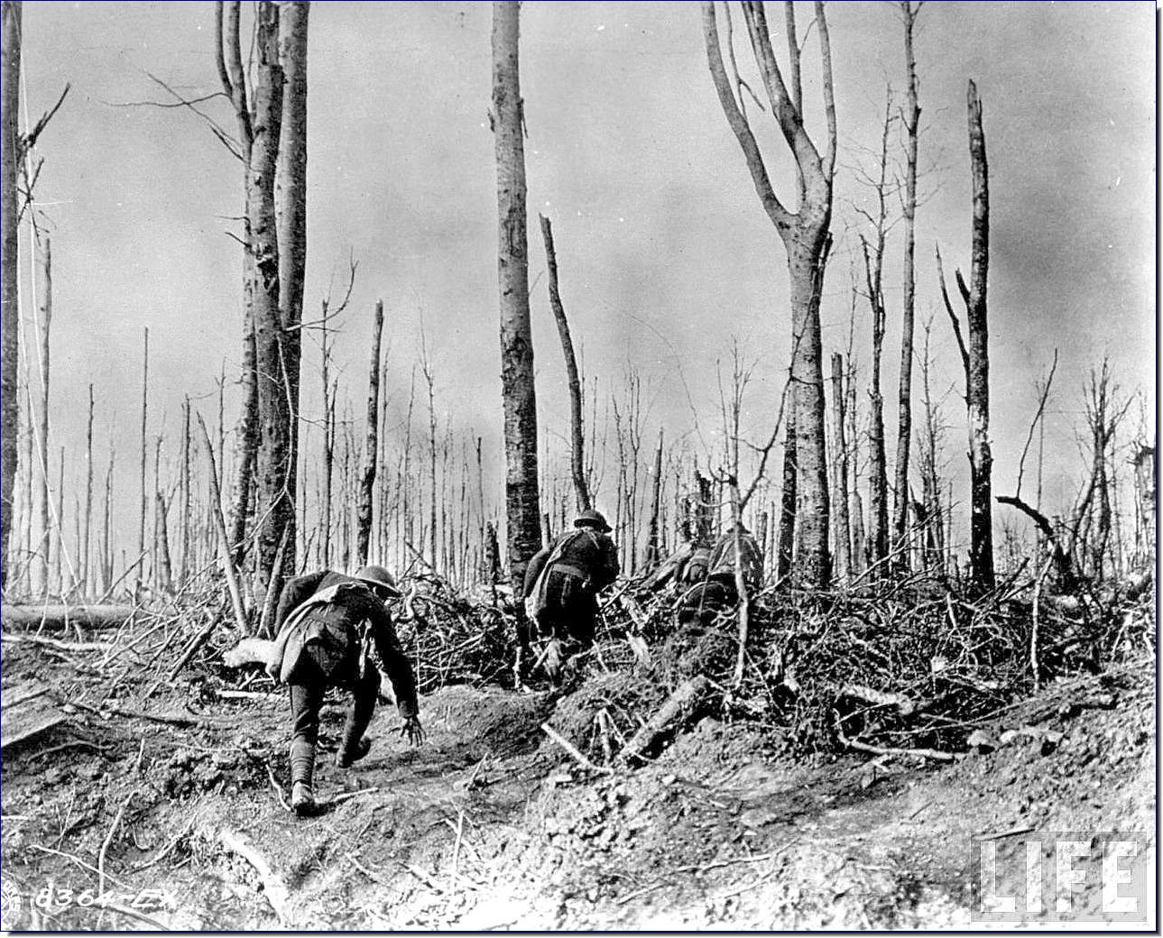 PICTURES FROM WAR AND HISTORY: World War One Images (Life)(LARGE IMAGES)