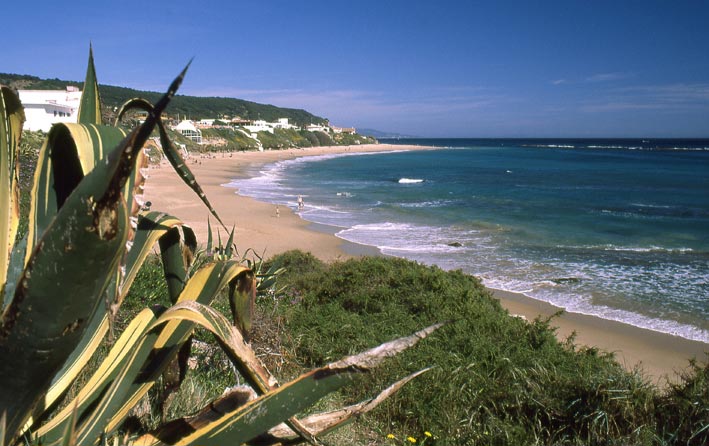 "Surfing" the internet: ¿Cuáles son las mejores playas para ver y ...