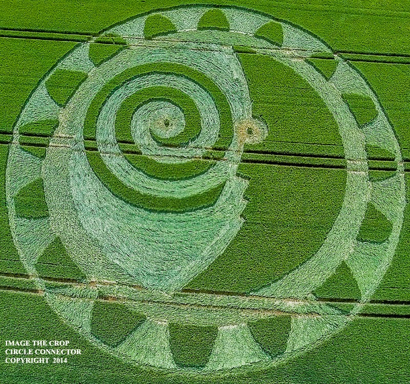 Augureye Express: 2014 Crop Circle Gallery