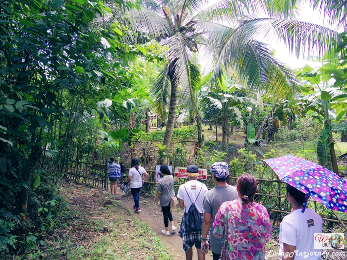 Woman In Digital: Day 3: Guinobatan Longganisa, Pancit Bato and ...