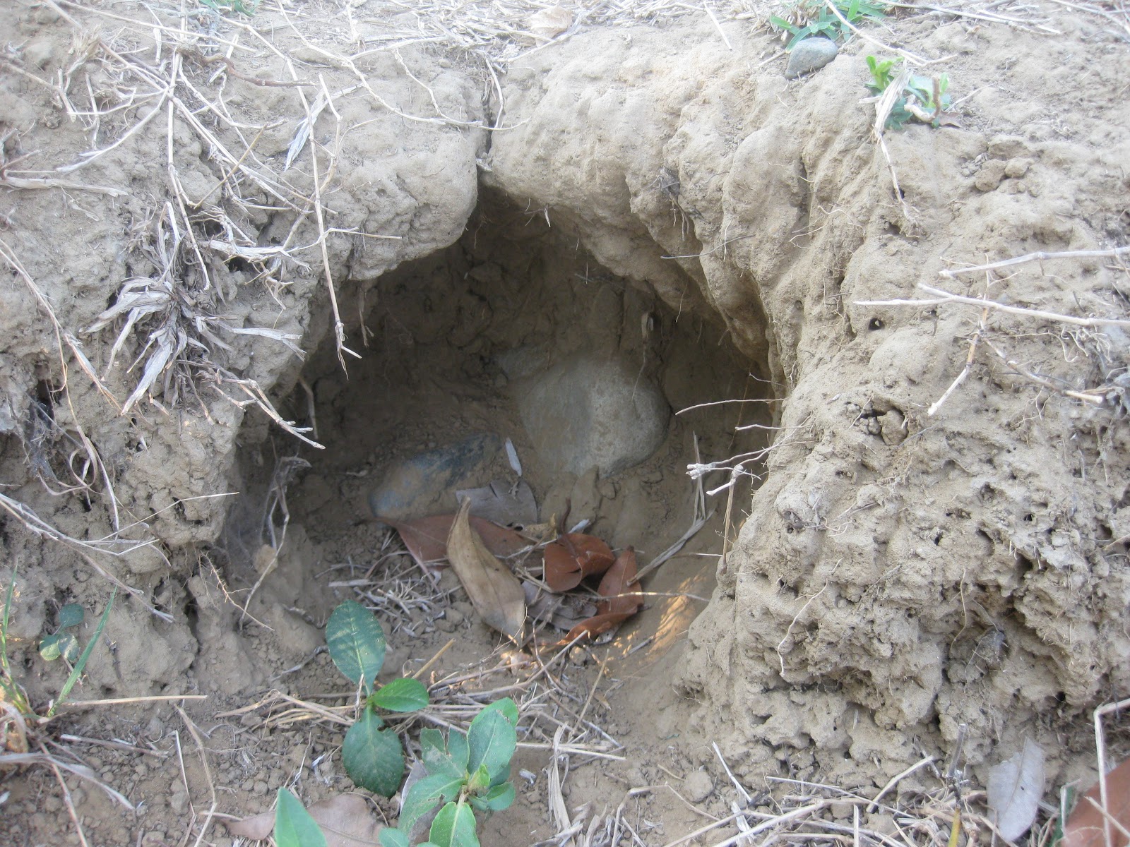 that thing called RAGSAK: Scent of Summer