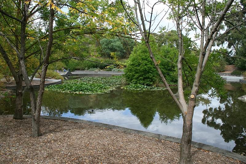 TRACKS, TRAILS AND COASTS NEAR MELBOURNE : Wilson Botanic Park, Berwick