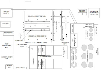 sample layout plan of a fish processing room