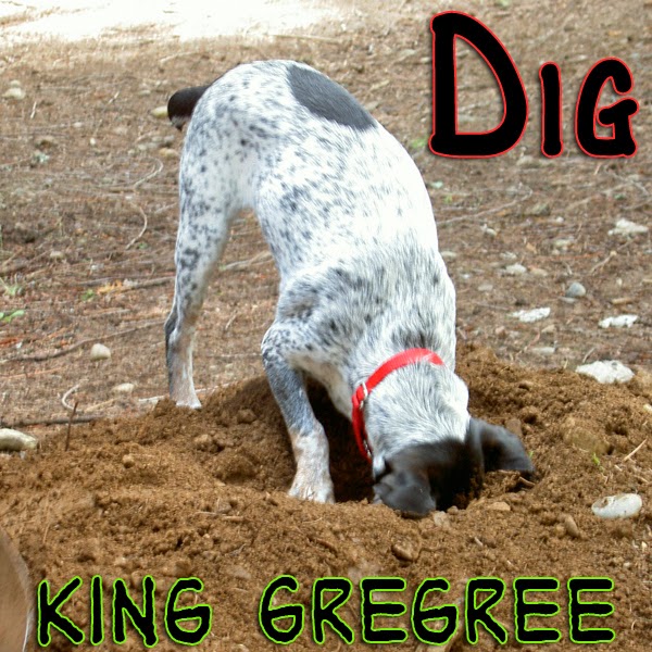 King Gregree: DIG [produced by: Pogo]