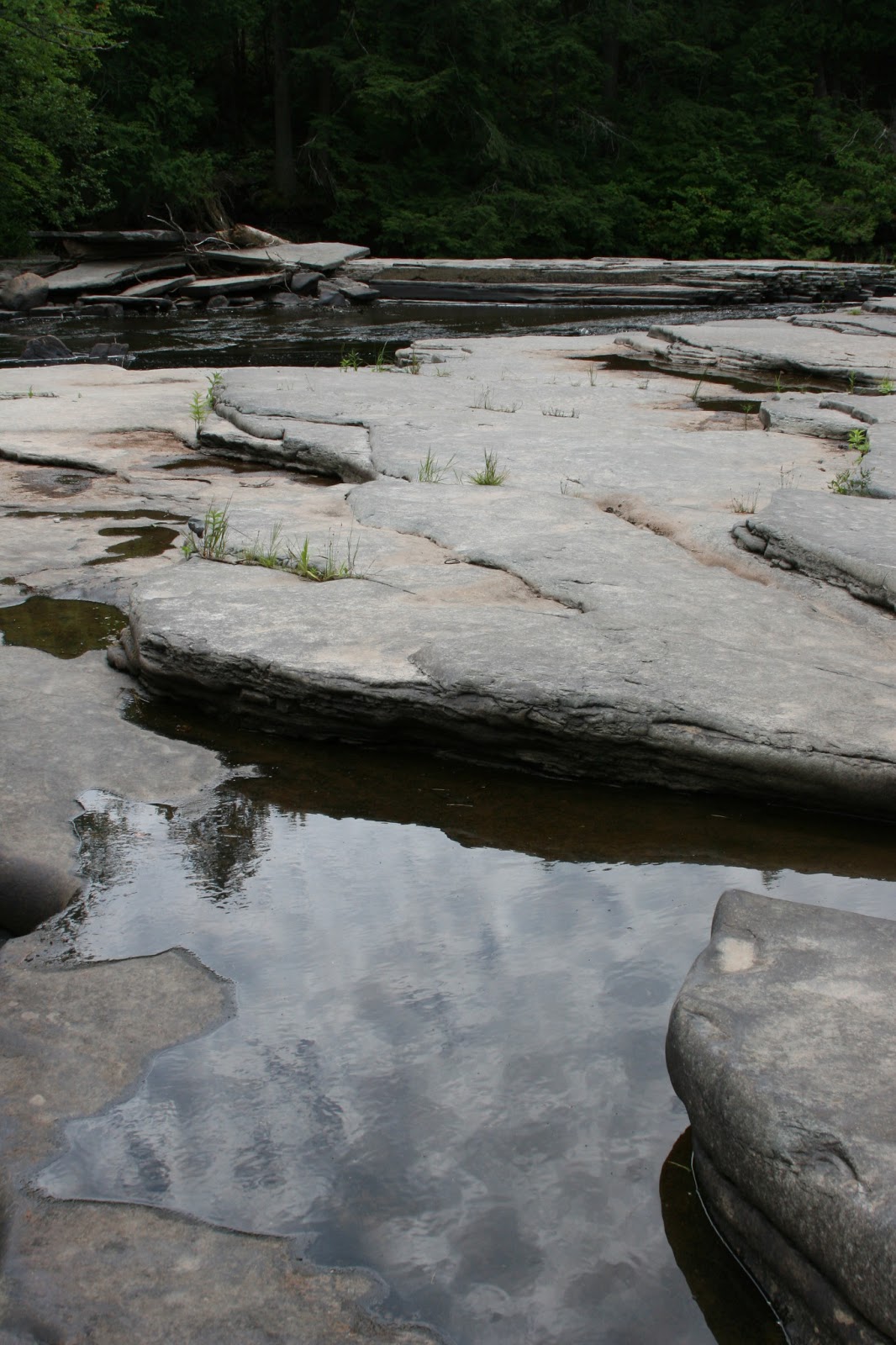 Isabella Conservation District Environmental Education Program: Water ...