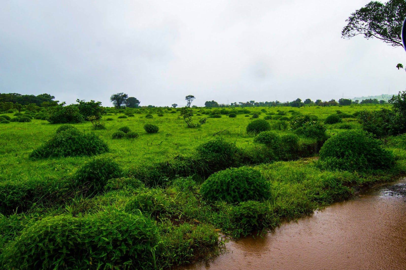 Kavlesad, Mahadevghad, Hiranyakeshi and Rajhunsgad Fort Trip