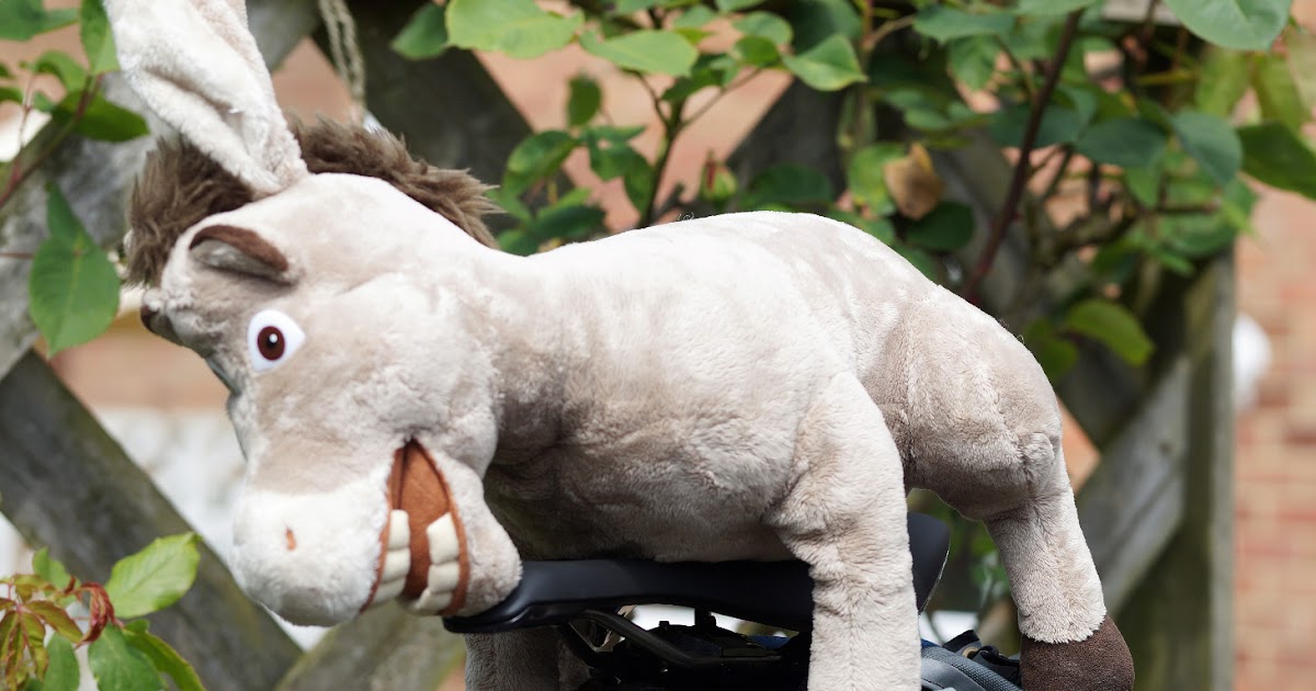 Road Path to Enlightenment: Donkeys & Destructive felines