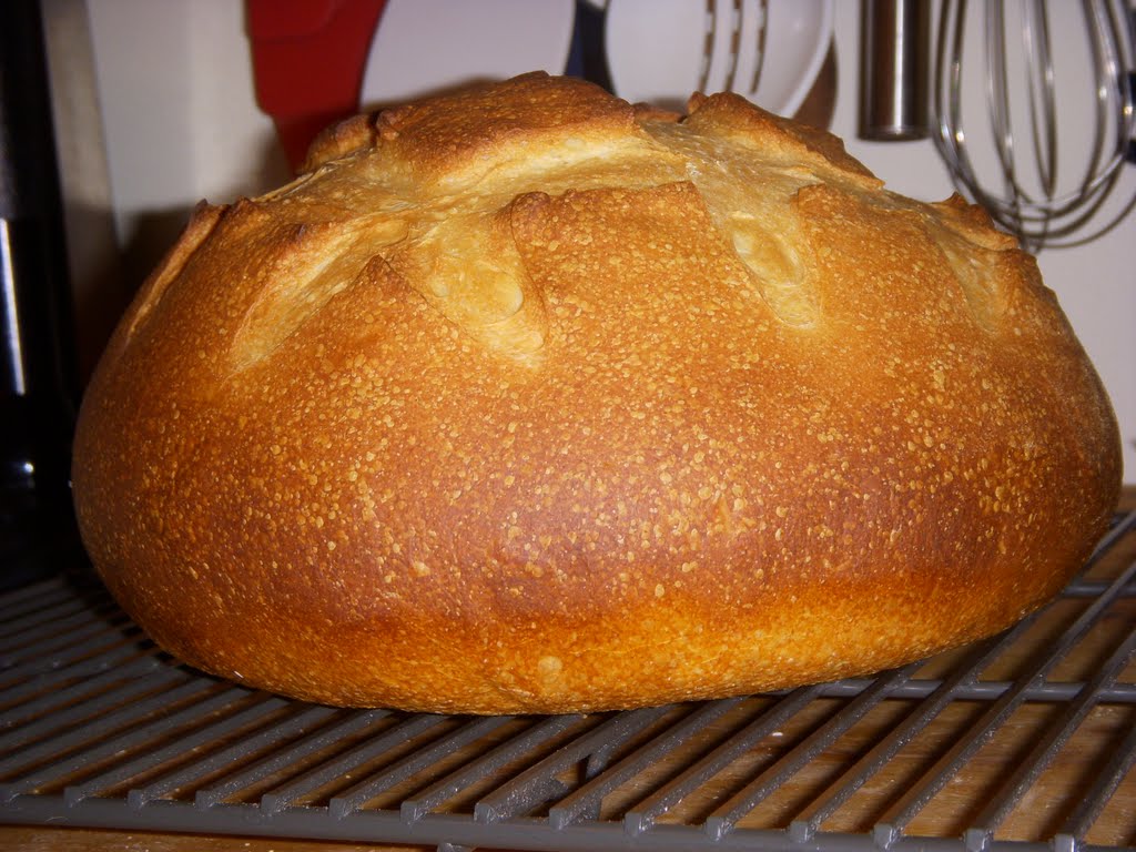 The Baritone Bread Log: Bread Log 9: Semolina (Durum) Bread