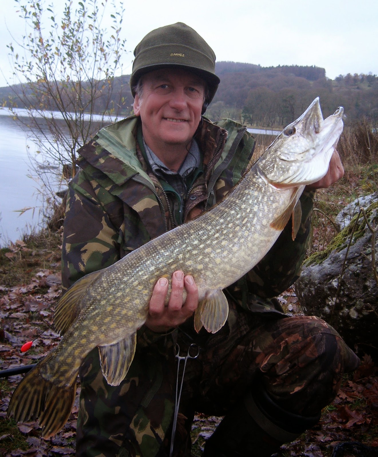 Sweden Big Northern Pike Of 37 Poind