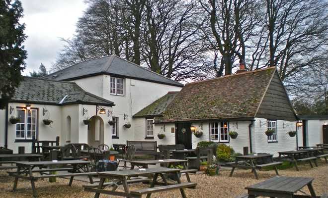 gastrohub: THE WHITE HORSE, (The pub with no name) - Petersfield