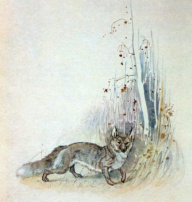 La cueva del coco: Edith Holden: Diciembre...