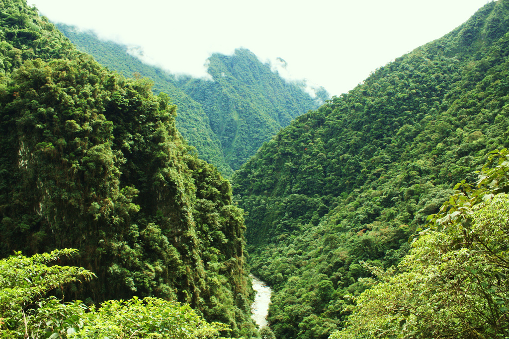 VISITEMOS MI PERU: REGIONES NATURALES DE PERÚ