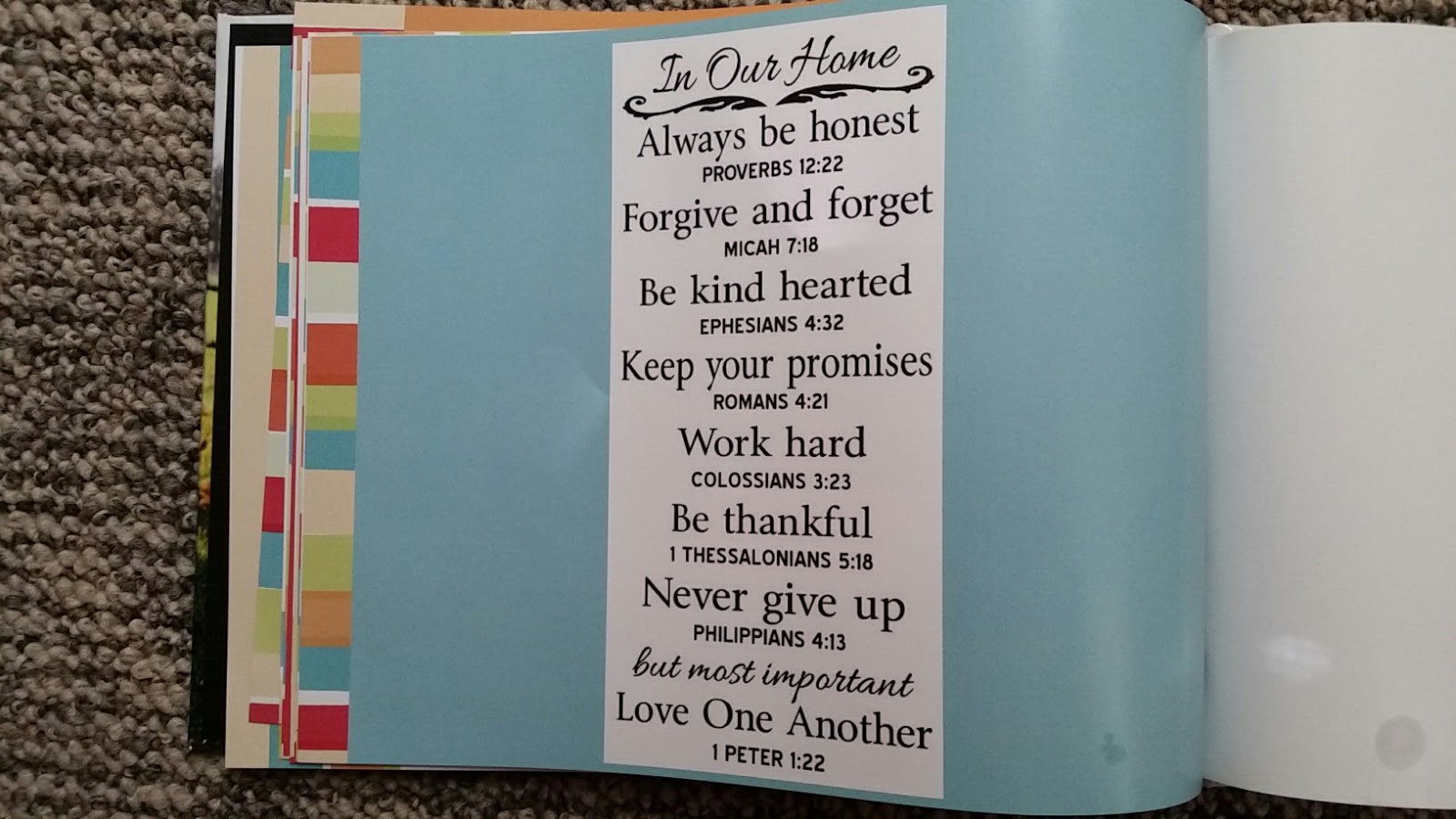 The Farrell Flock: Foster Care to Adoption: The Welcome Book