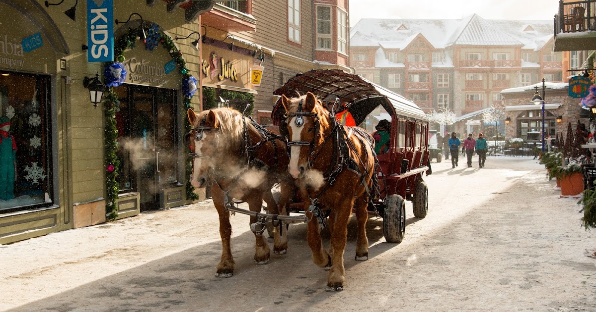 One Tank Trips: Hit the festive holiday trails for holly, jolly fun