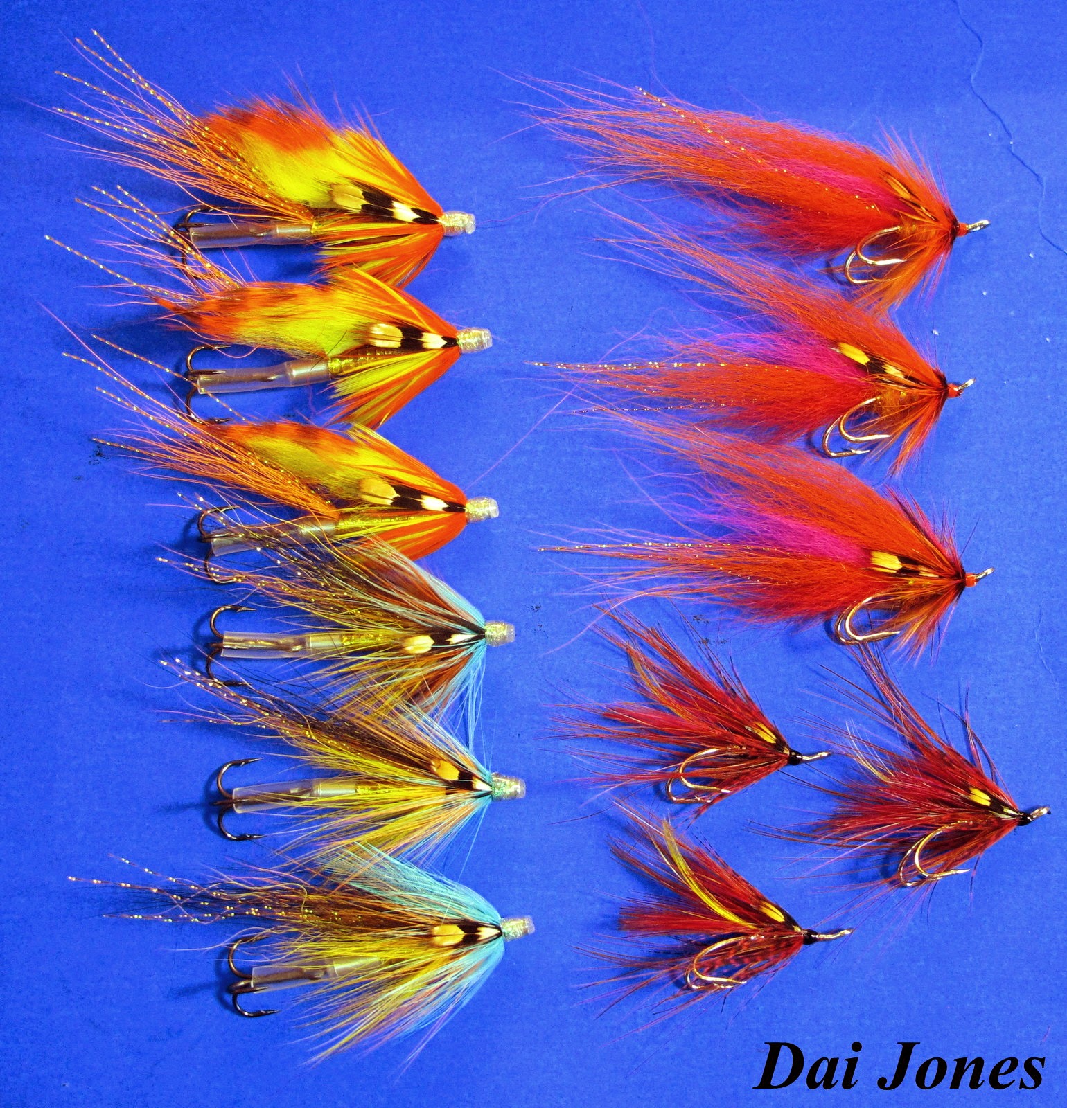 daijones flies: New season, underway.