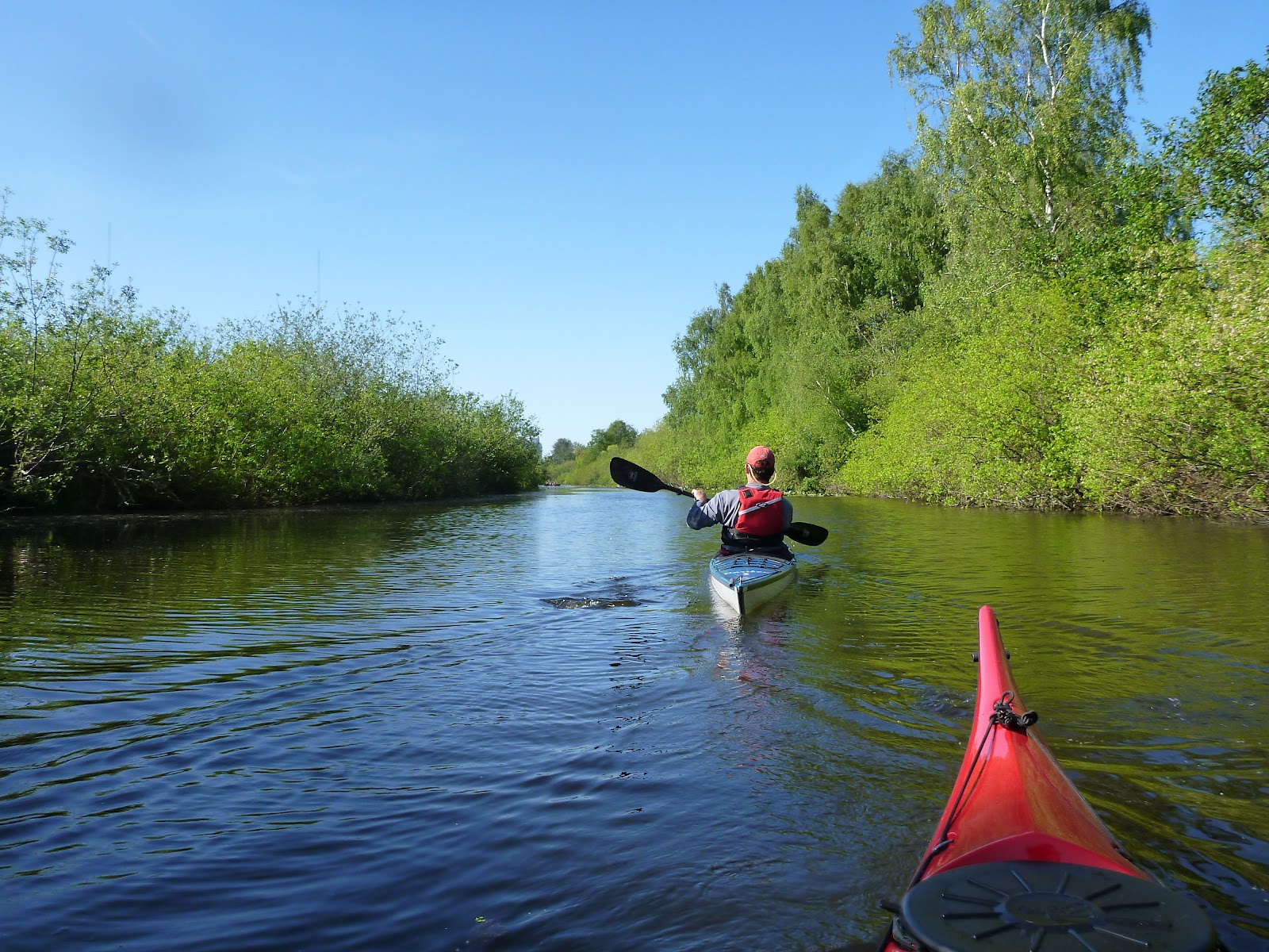 Kayakventures: Misadventures in sea kayaking: Mercer Slough