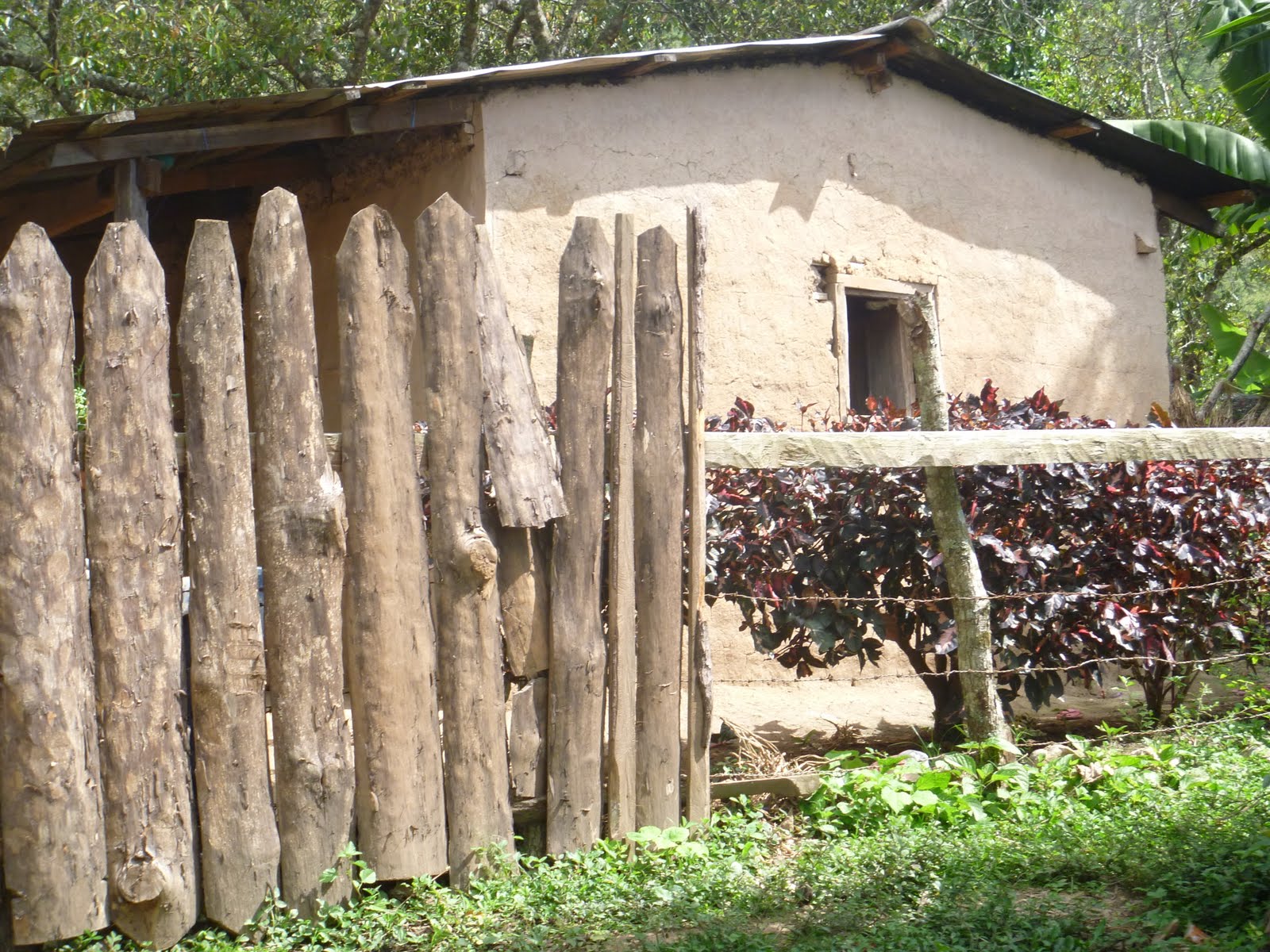 Los Xicaques o Tolupanes en Yoro, Honduras: Universidad Pedagógica ...