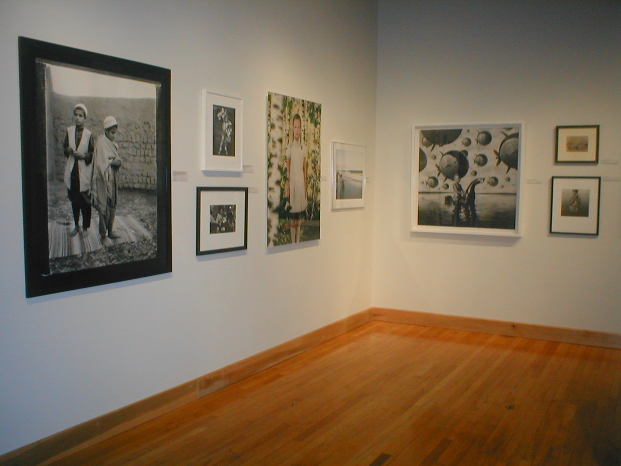 ROSS ART MUSEUM: 2012