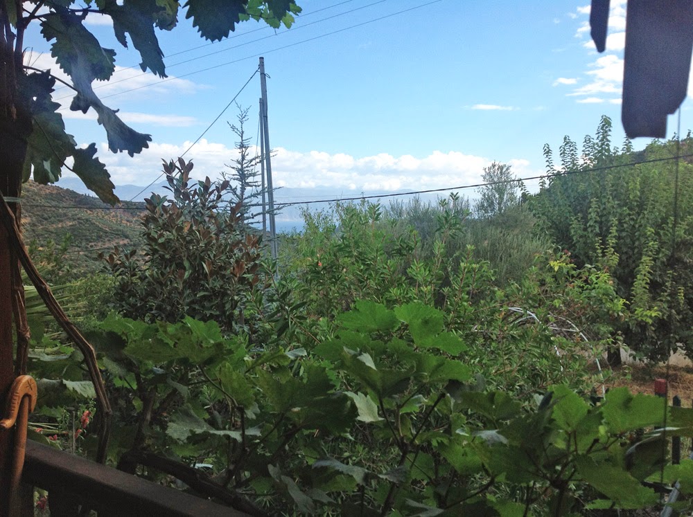 ΠΩΛΕΙΤΑΙ: ΠΕΤΡΟΧΤΙΣΤΗ ΚΑΤΟΙΚΙΑ ΣΤΟ ΧΑΤΖΗ ΑΙΓΙΟΥ Ν ΑΧΑΪΑΣ