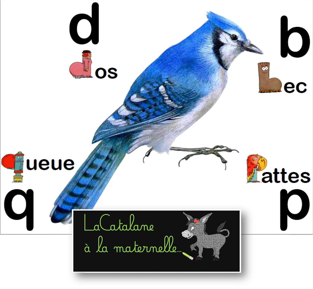 LaCatalane à la maternelle...: Affichage : confusion "b, d, p, q" avec aide des alphas