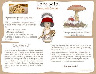 micosfera: la reSeta