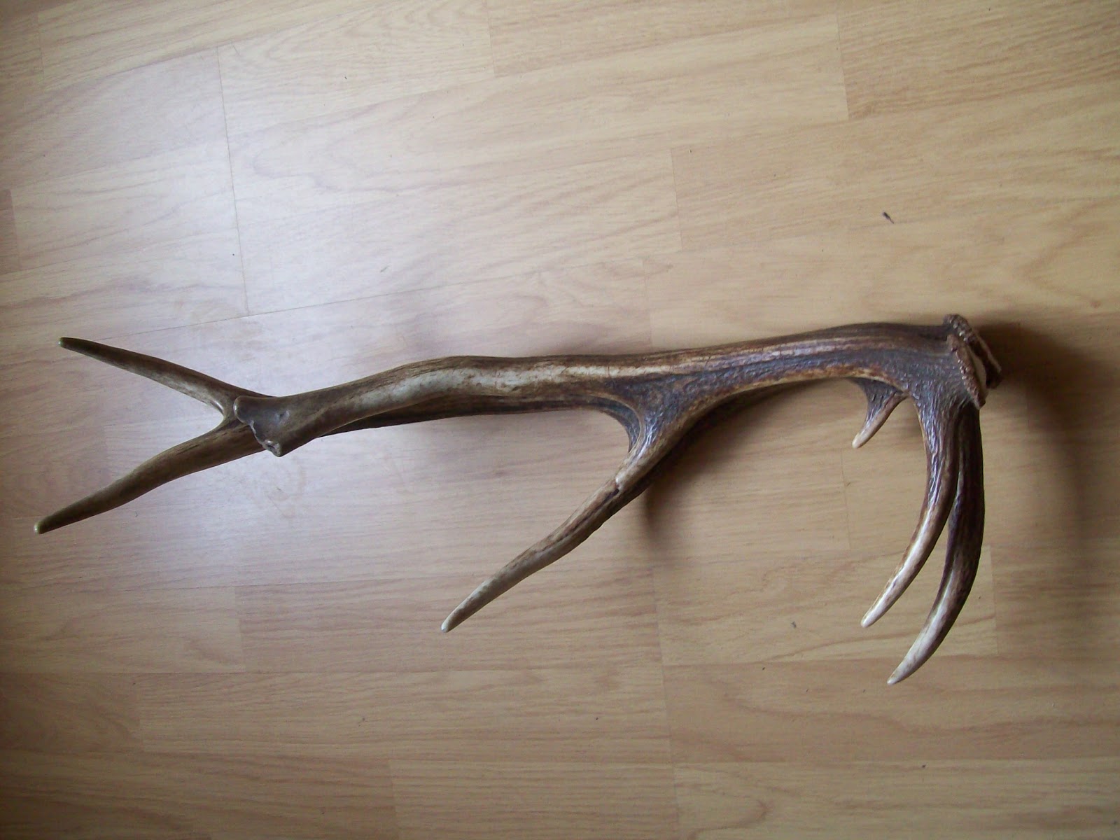 Le Blog "PYRENEES et NATURE" de Benjamin JOFFRE: ARCHITECTURE ...