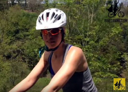 Me Duele El Culo El De La Dahon