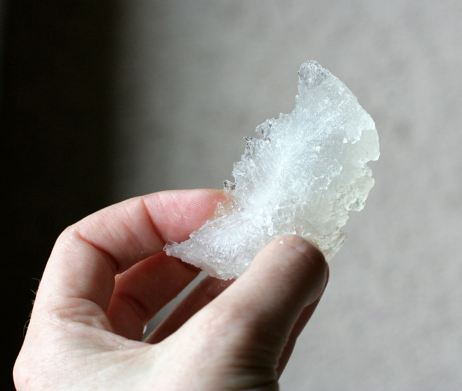 Frozen Gelatin Fossil Excavation and Frozen Gelatin Sensory Play